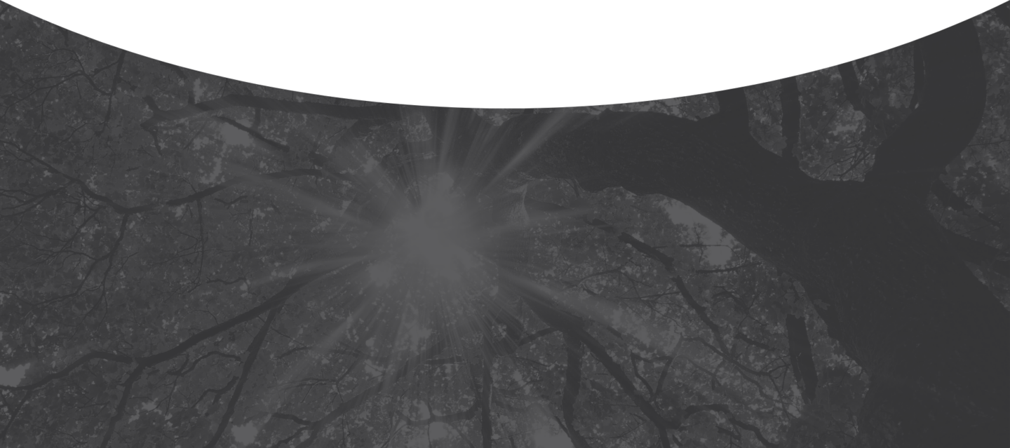 Home - Reach Behavioral Health