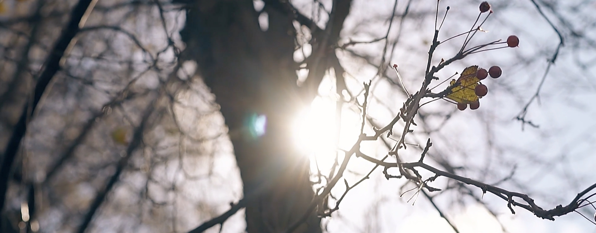 Home - Reach Behavioral Health